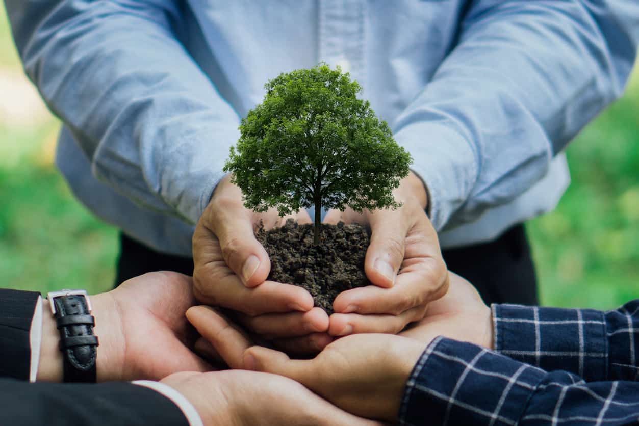 The Power of Smart Beta: BBAE MyAdvisor